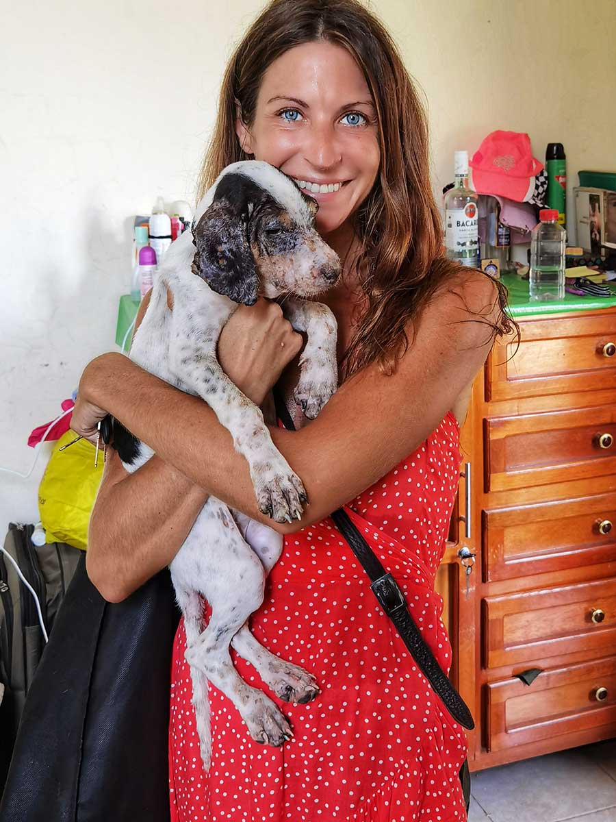 Over the rainbow bridge – Dogs of Puerto Angel