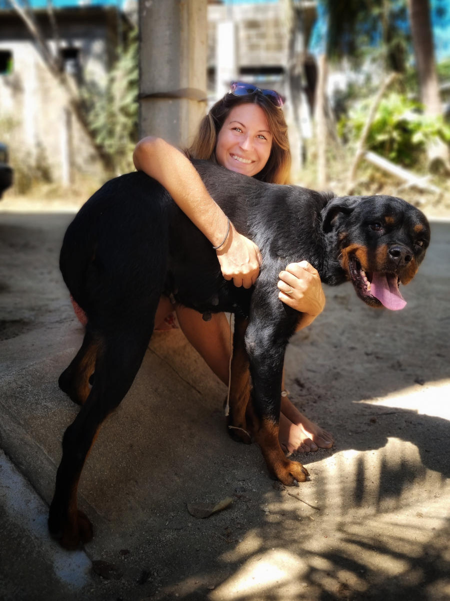 Before and After – Dogs of Puerto Angel